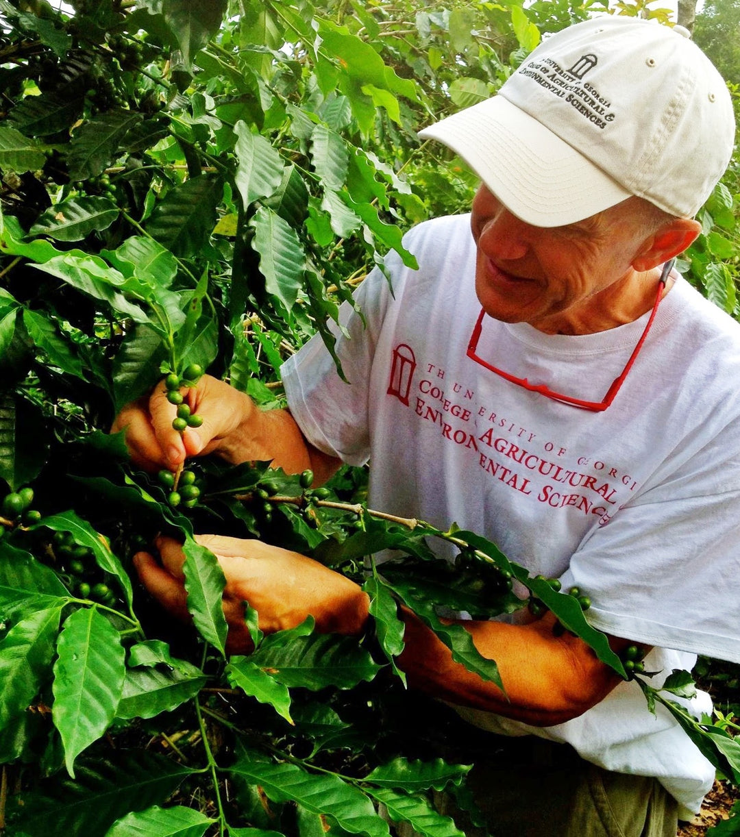 Clover Coffee Company – Clover Coffee Co.